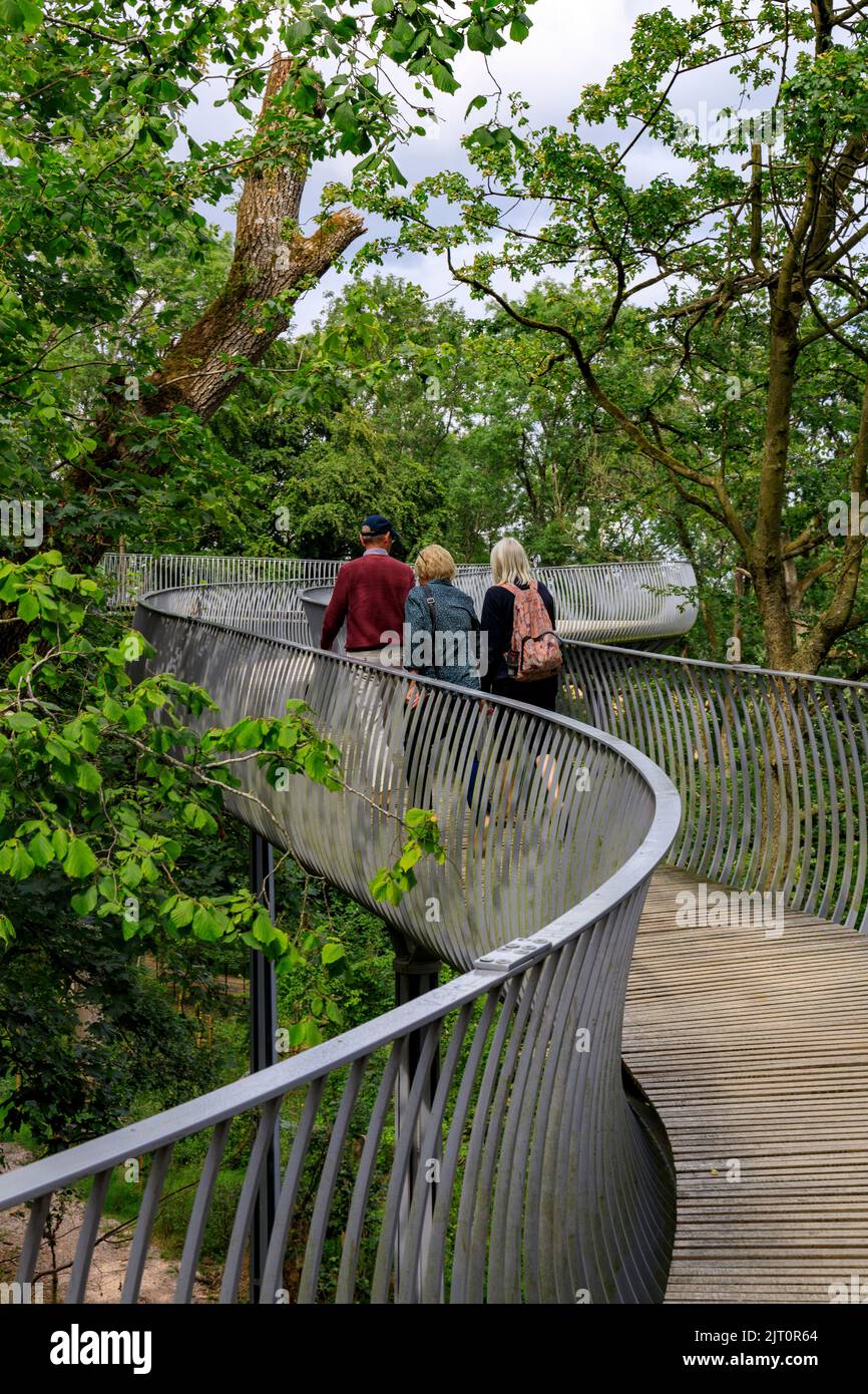 The Viper is an impressive elevated walk through the tree tops at 'The ...