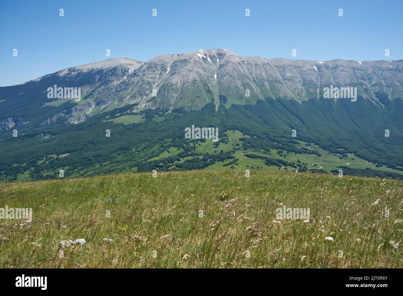 Bergwiese an dem Wanderweg über den Monte Mileto, hinten der Monte ...