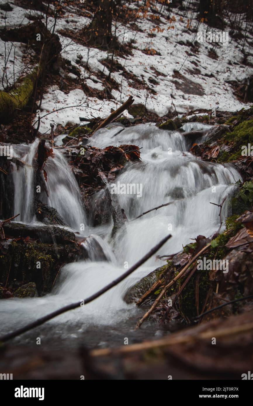 Permeating hi-res stock photography and images - Alamy