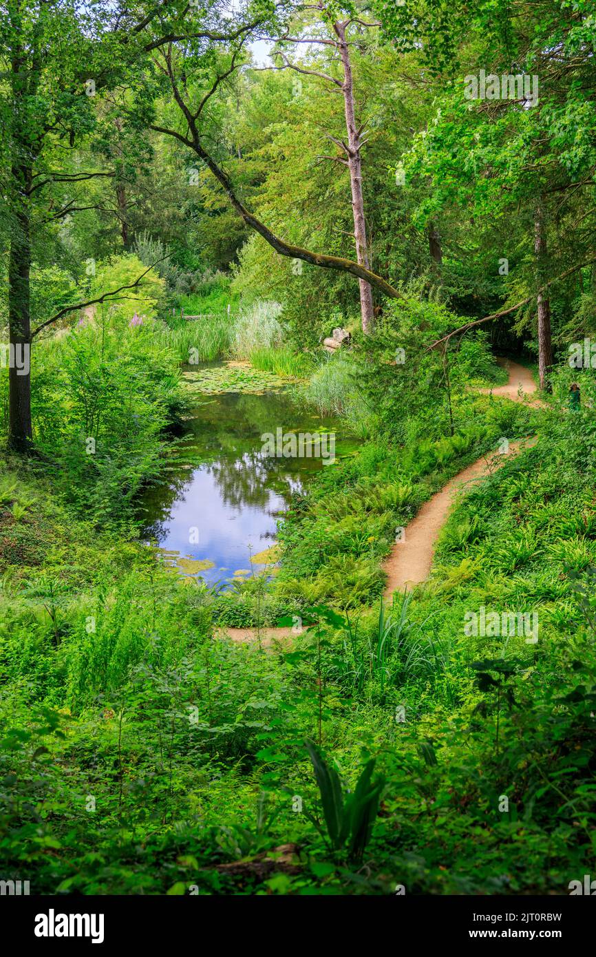 The attractive woodland Marl Pit and lake in the restored 'The Newt in ...