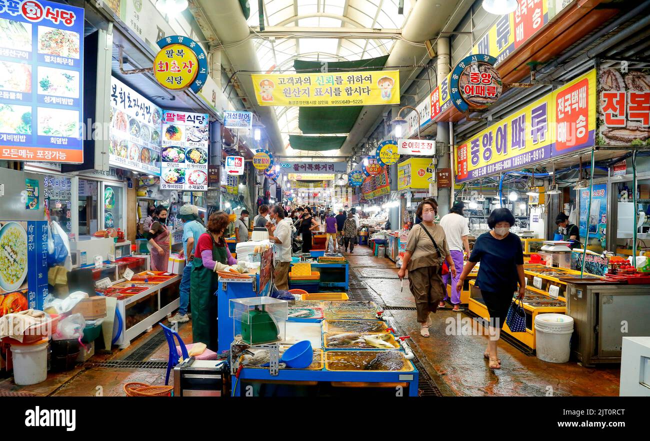 Tongyeong Central Market, August 12, 2022 : Tongyeong Central Market in ...