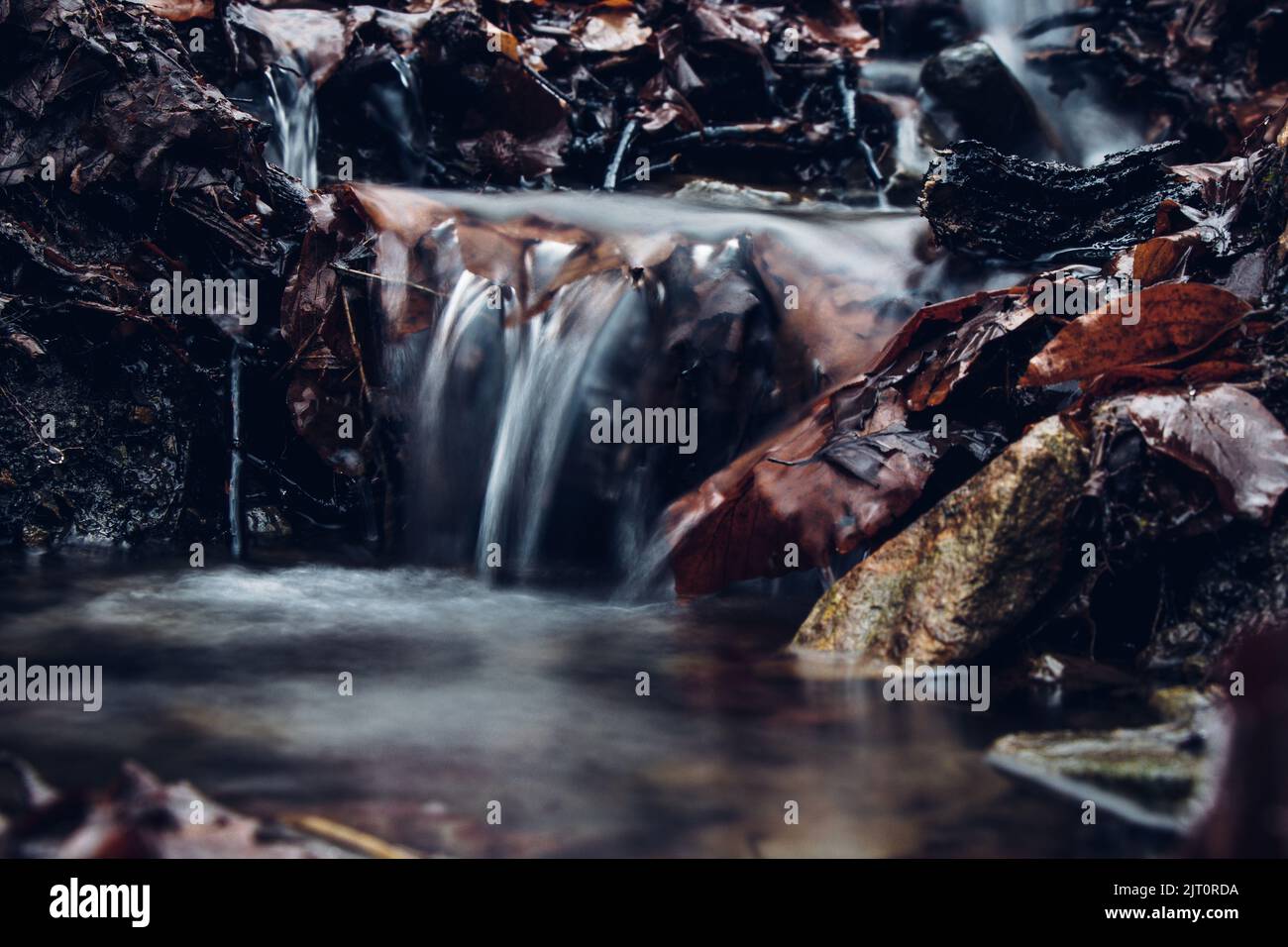 Cursed clear and icy water rushes through rocks and autumn leaves down ...