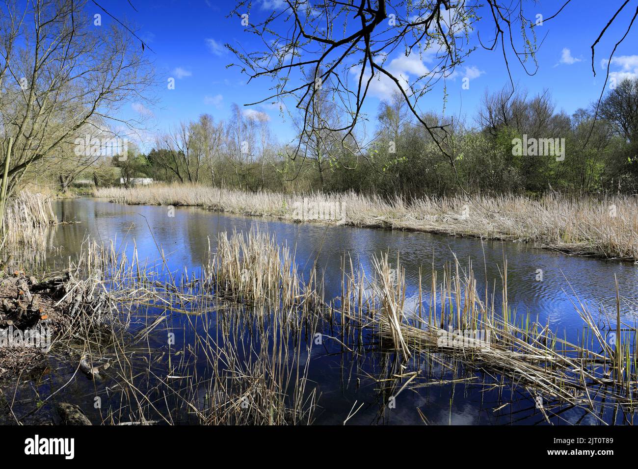 Lattersey local nature reserve hi-res stock photography and images - Alamy