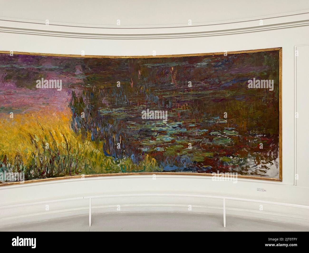 Water lilies by Claude Monet Stock Photo - Alamy