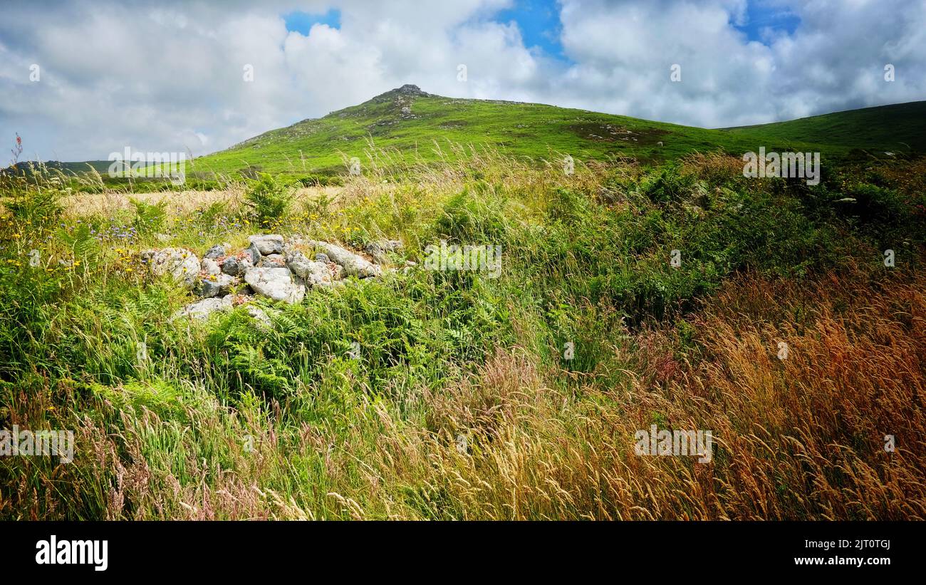 Traditional Cornish hedge, Penwith, Cornwall, UK - John Gollop Stock ...