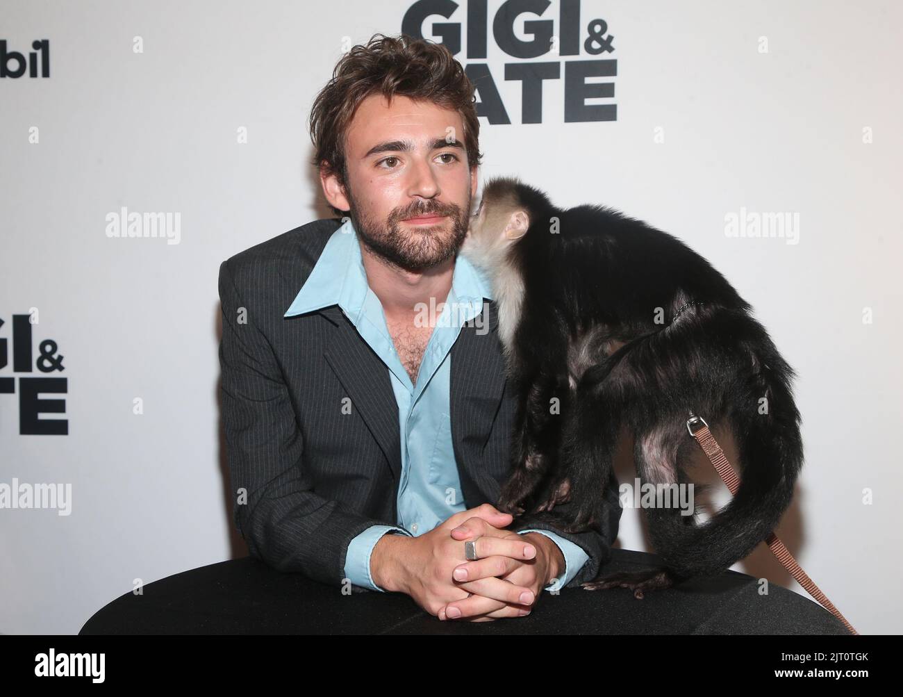 Punch monkey hi-res stock photography and images - Alamy