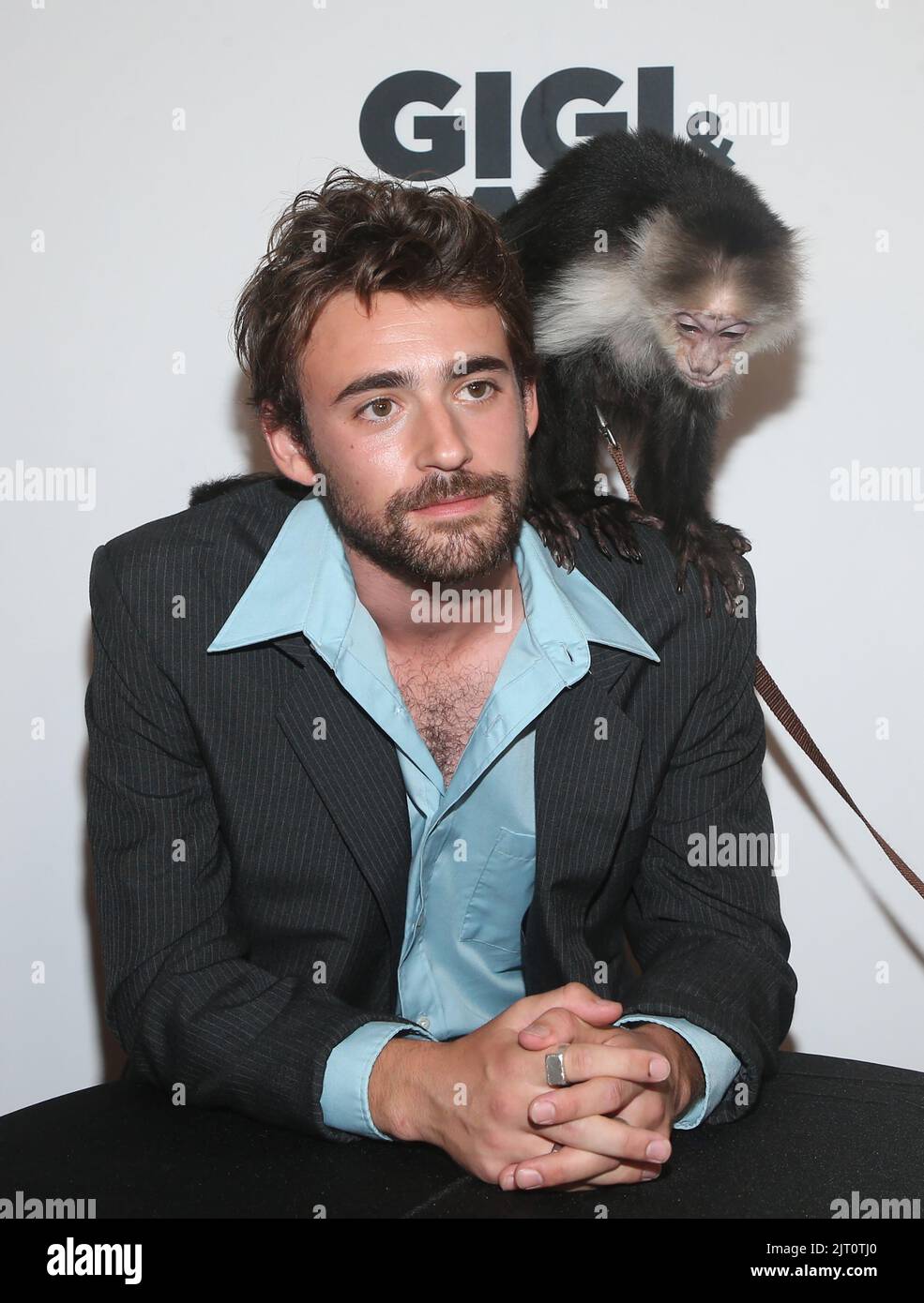 Punch monkey hi-res stock photography and images - Alamy