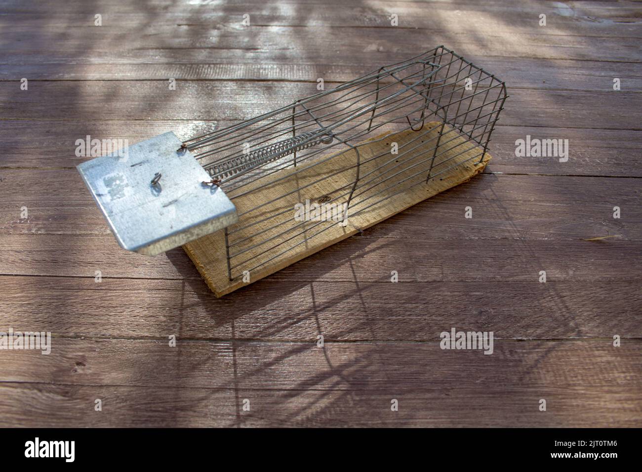 Image of an open mousetrap. Reference to the traps that run in life ...