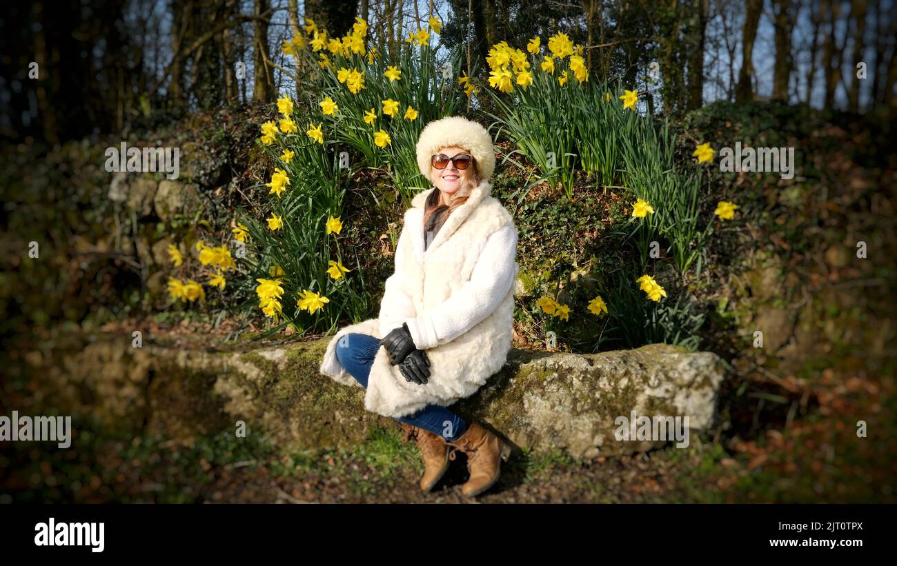 Mature woman wearing a fur coat sitting outdoors in front of daffodils ...