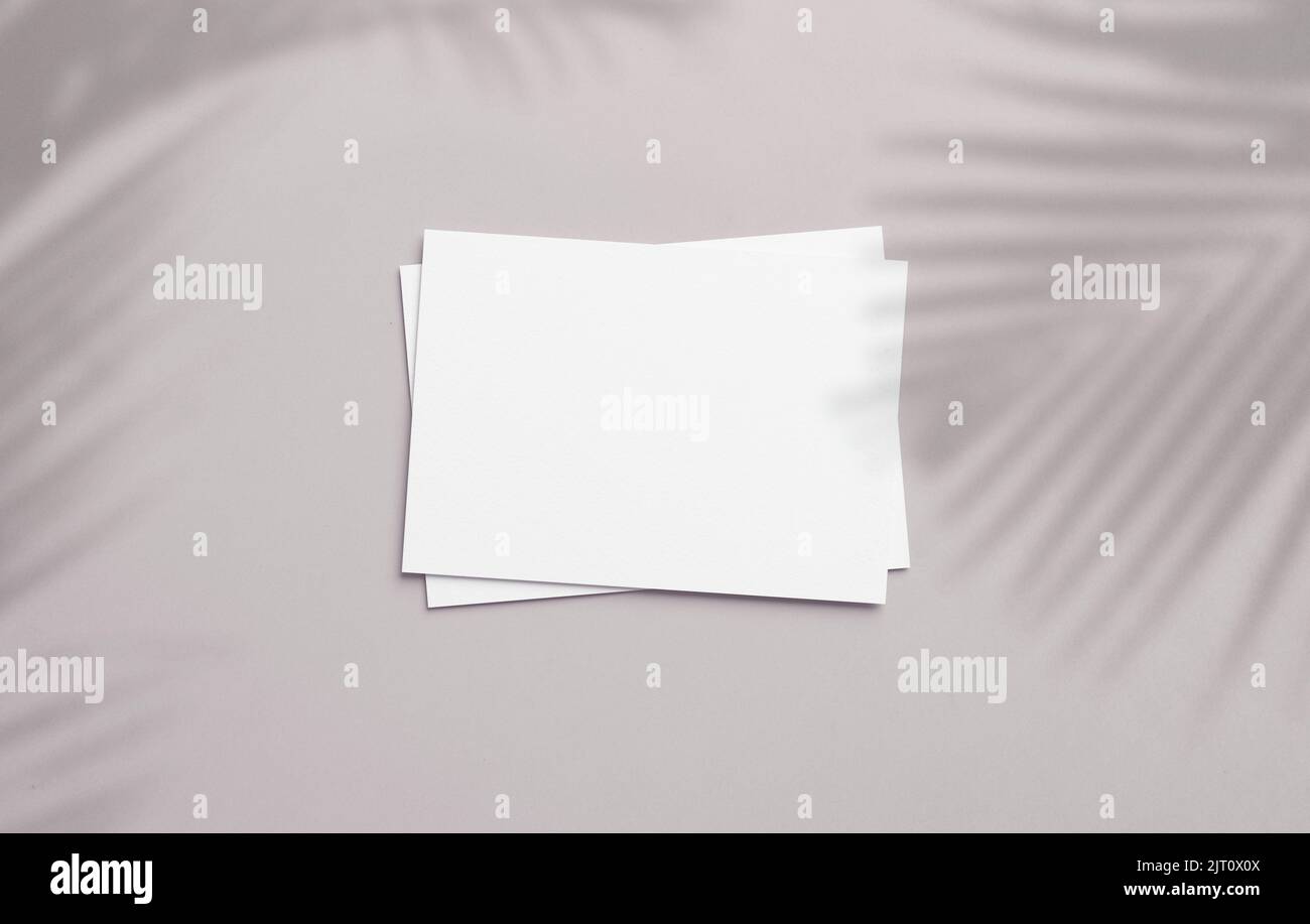 Postcard mockup blank paper template with overlay palm shadow on a ...