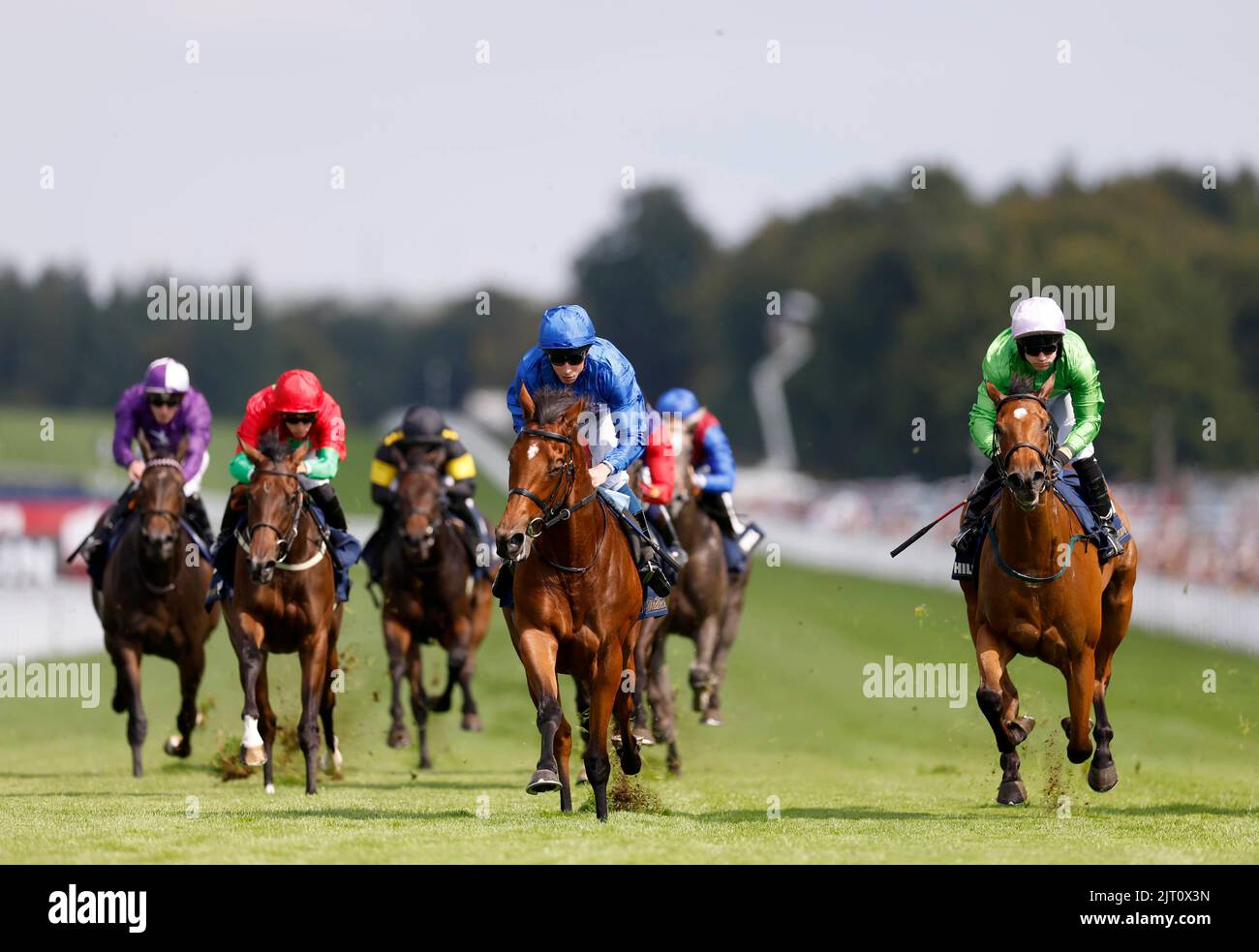 Fairy cross horse hi-res stock photography and images - Alamy