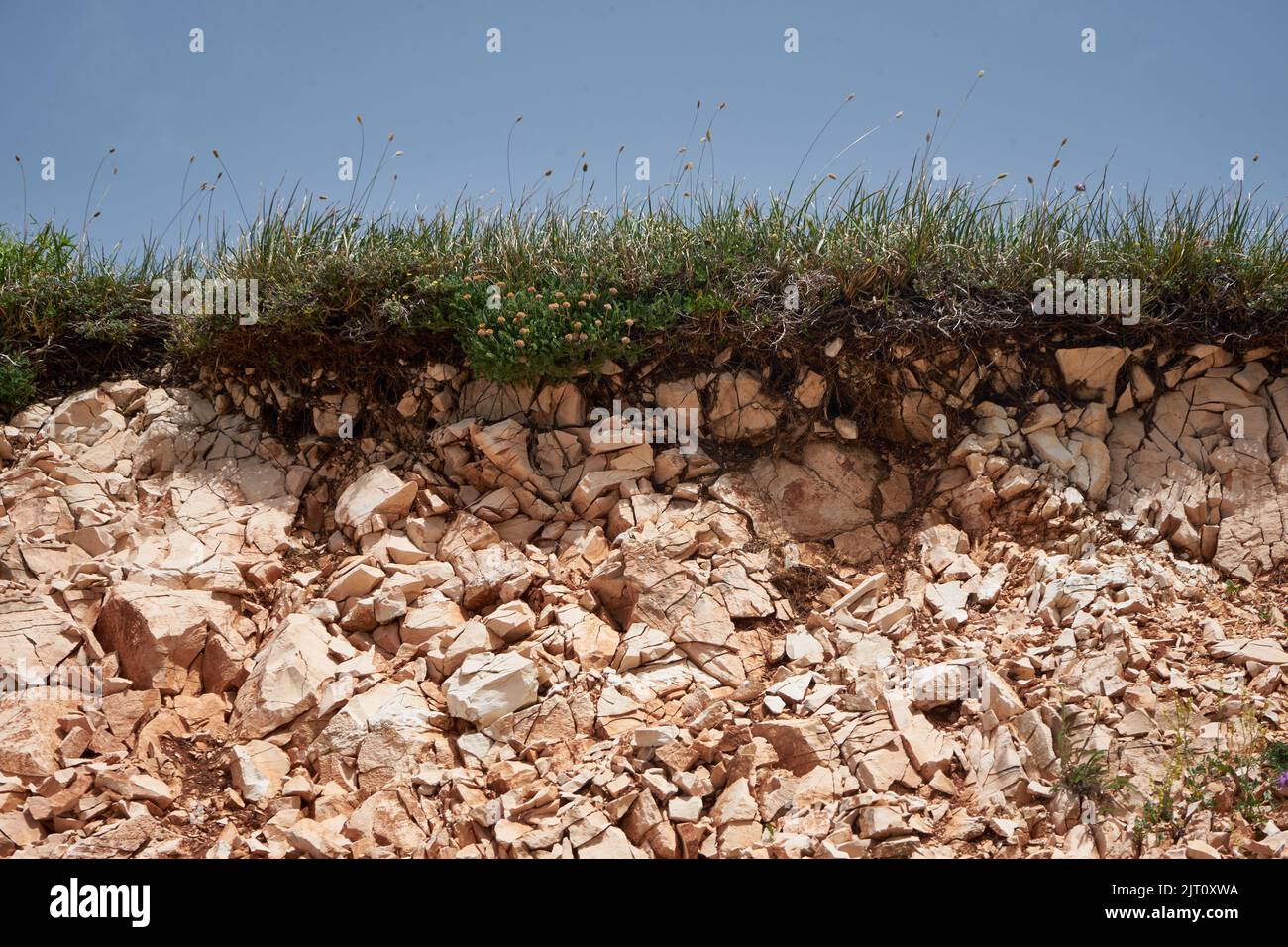 Humus boden hi-res stock photography and images - Alamy