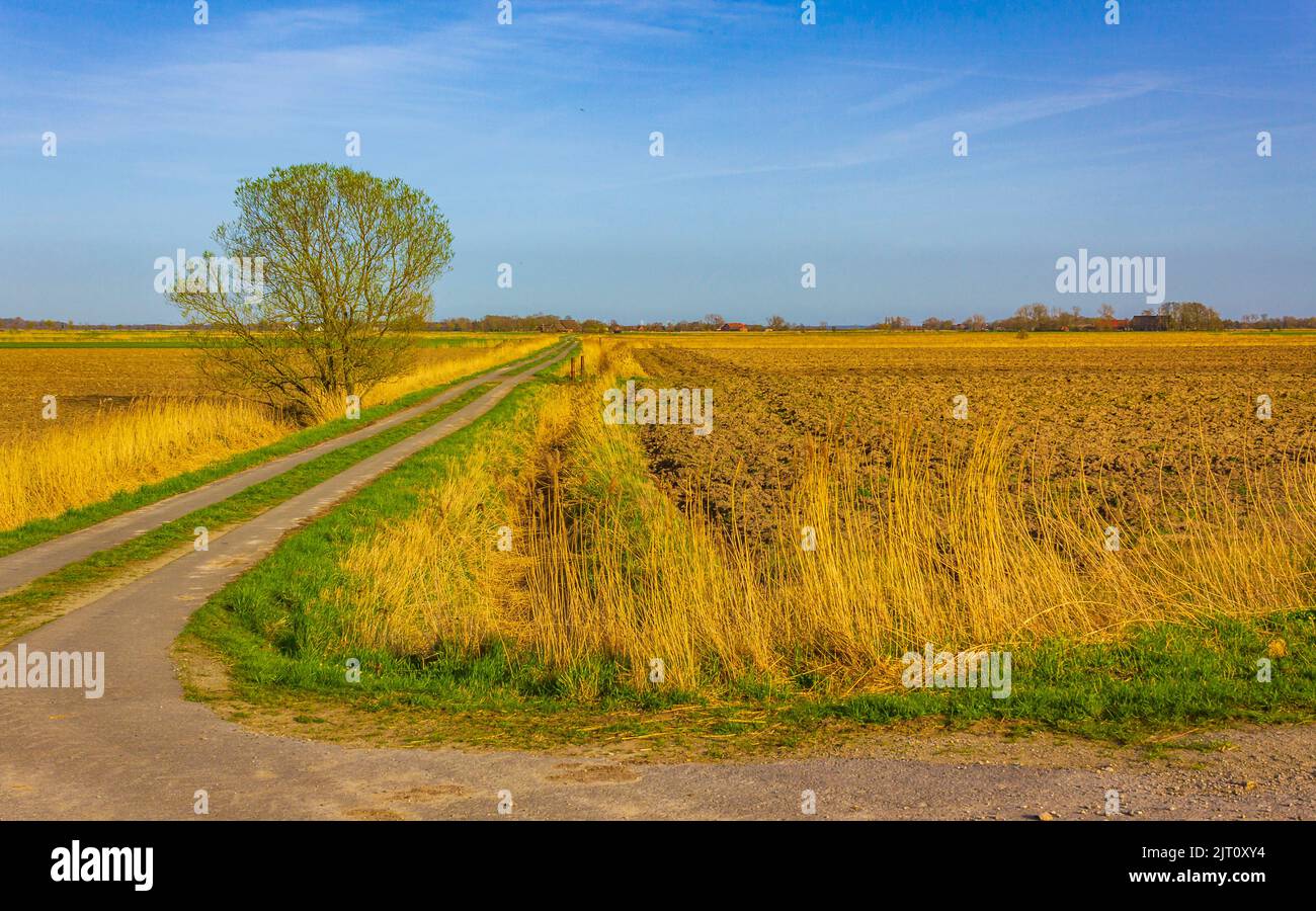 Beautiful wadden sea tidelands coast beach water and dike landscape ...