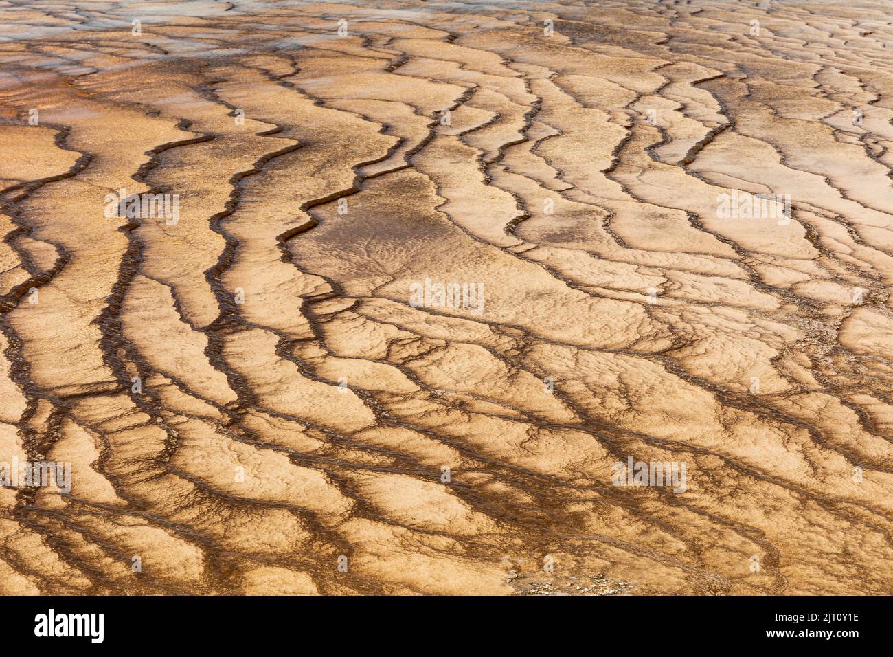 Water running off of Grand Prismatic Spring creating brown rippled ...