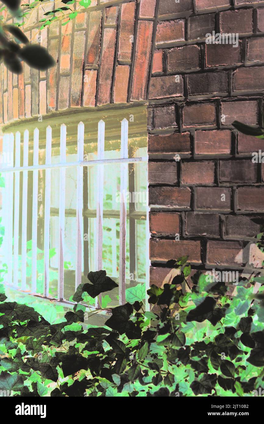 A quiet view of a small garden in front of a residential window covered ...