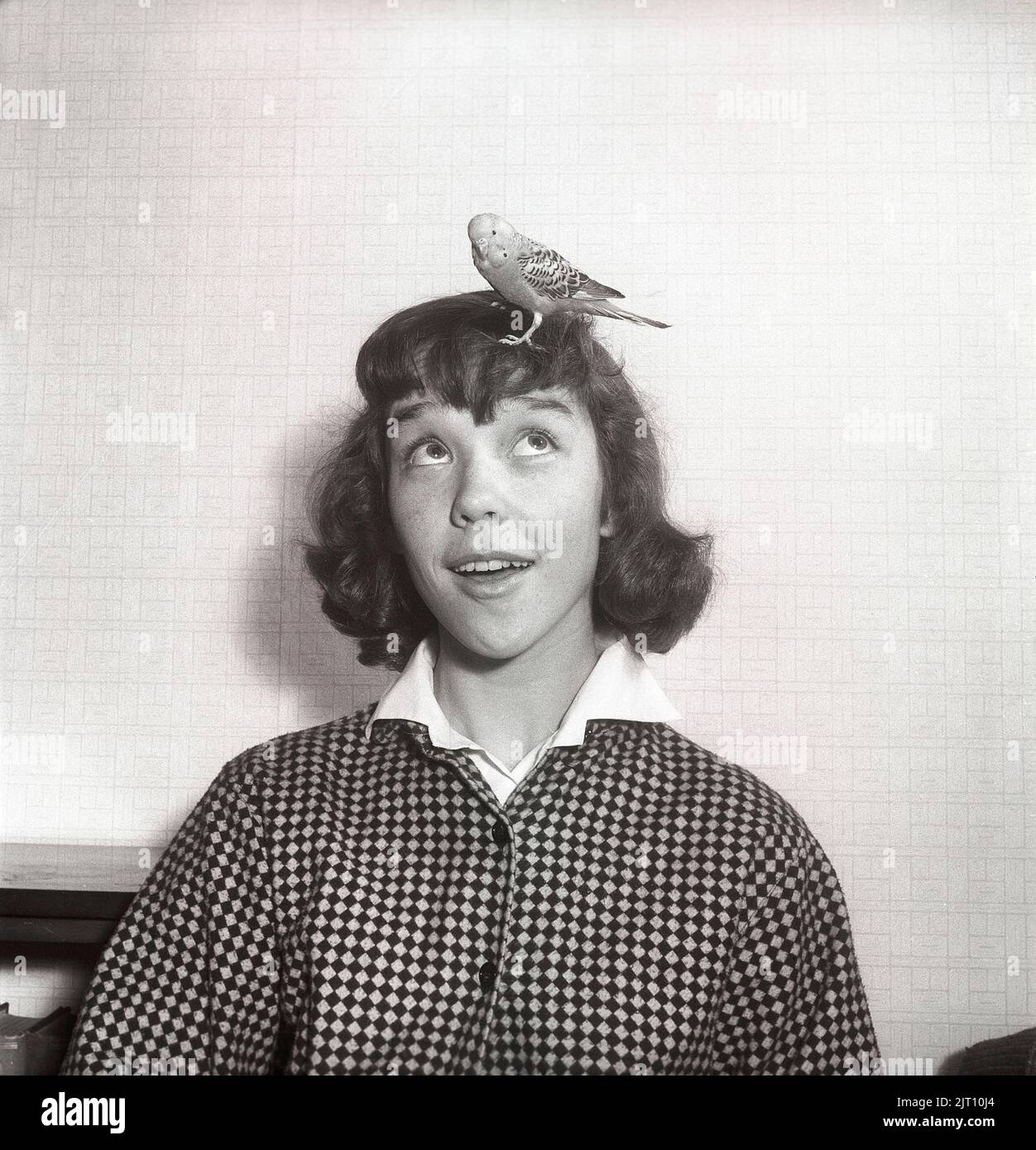 Gunwer Bergkvist, swedish actress born 1954 pictured with a Budgerigar ...