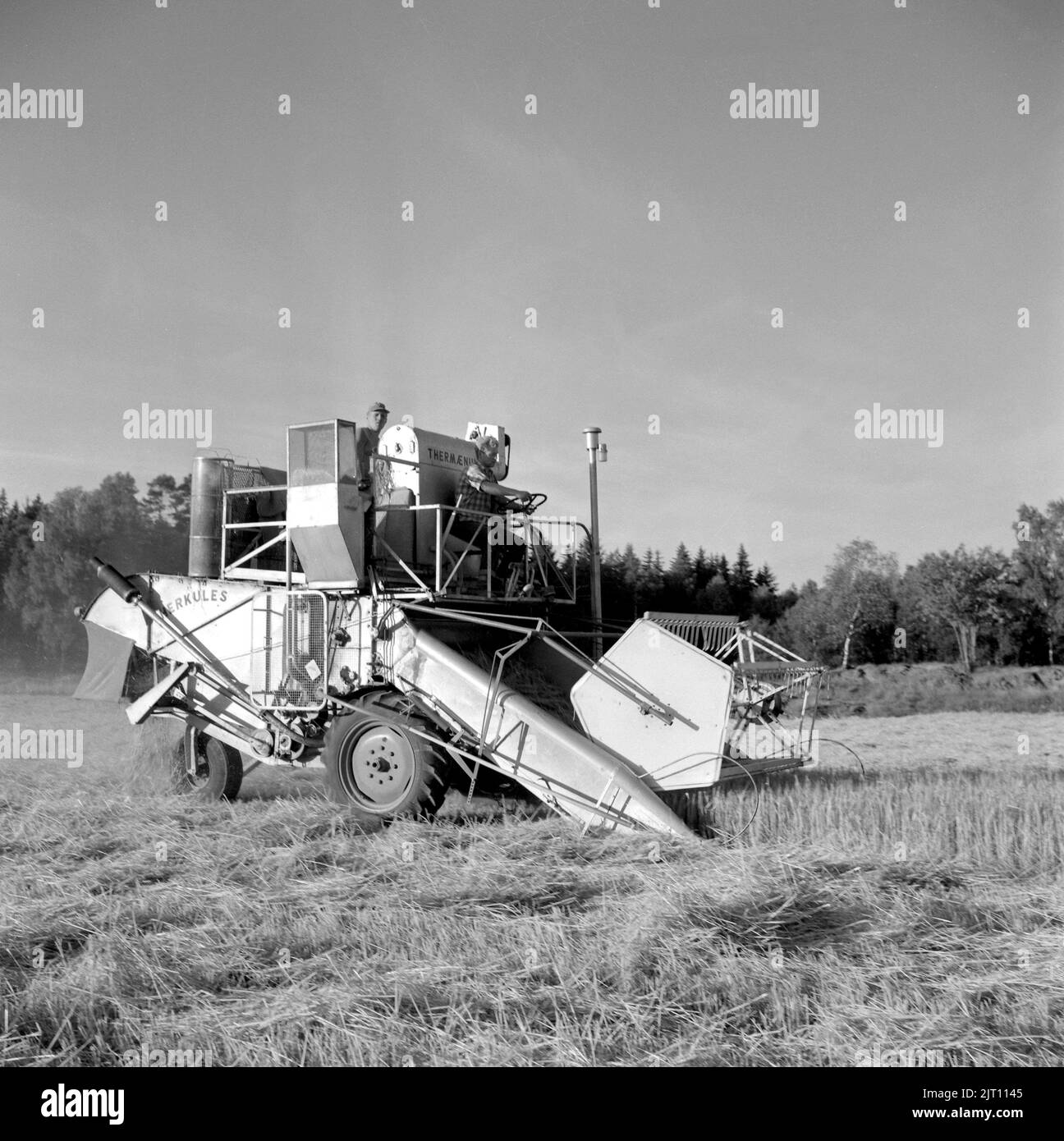 Farming in the 1950s. Harvest is in progress and a combine harvester being used. Hamra farm ...