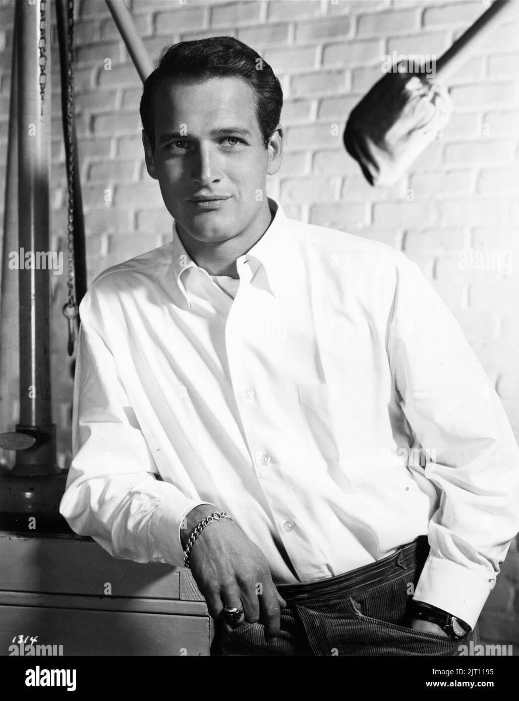 PAUL NEWMAN 1957 Portrait publicity for Metro Goldwyn Mayer Stock Photo ...
