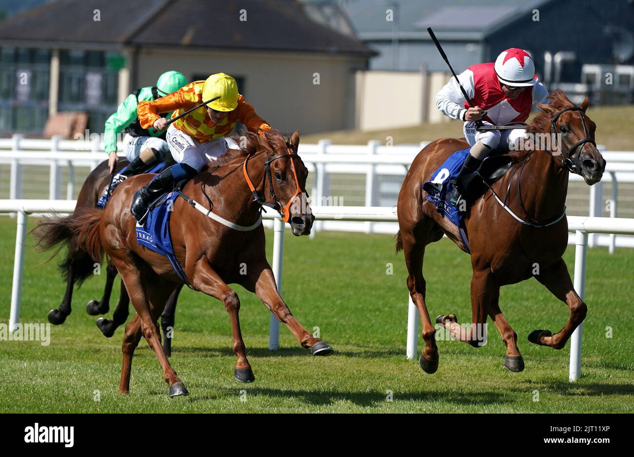 Treasure trove horse hi-res stock photography and images - Alamy