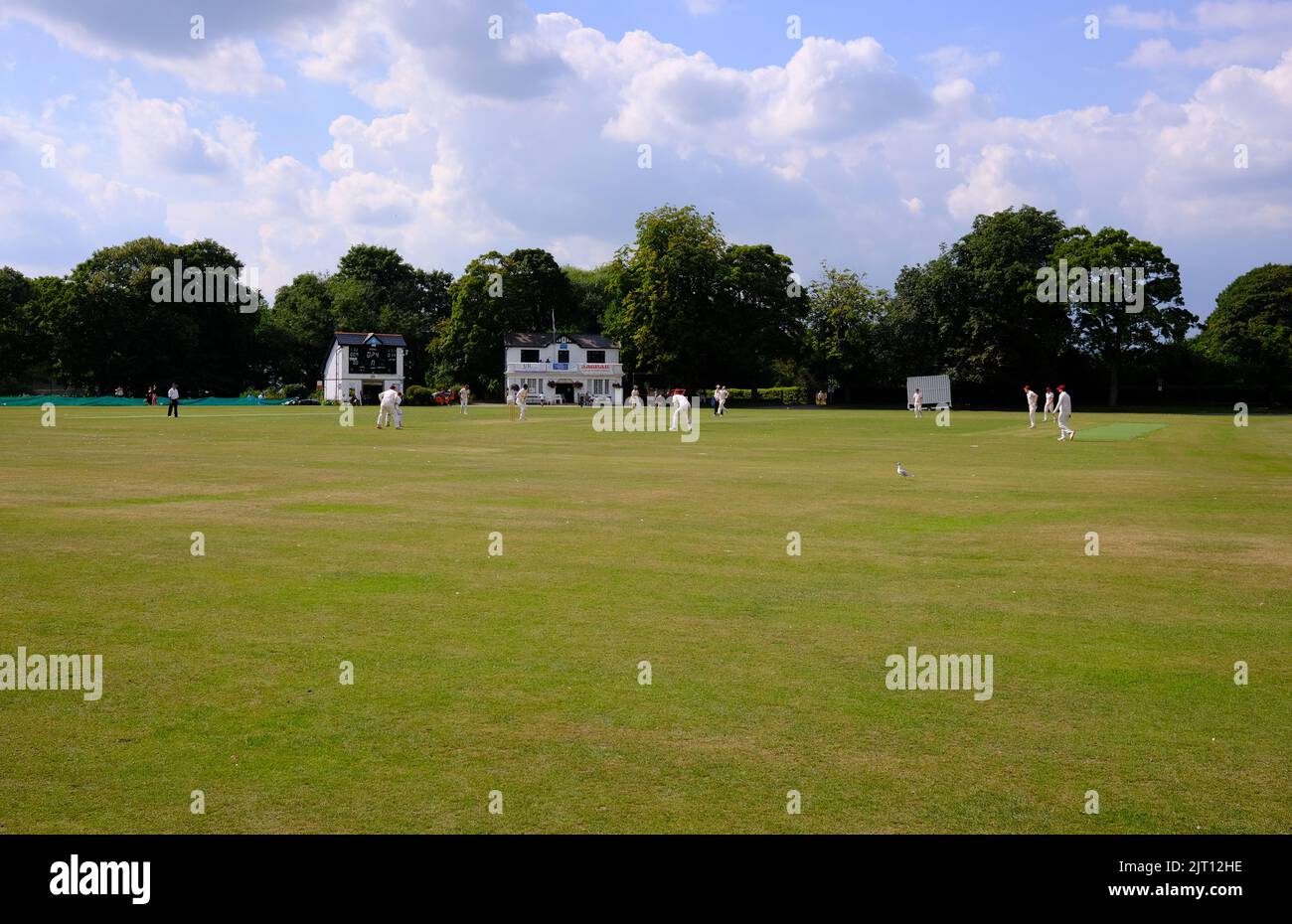 Cricket scoring box hi-res stock photography and images - Alamy
