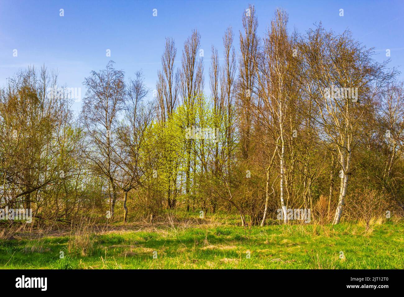 Wesertunnel hi-res stock photography and images - Alamy