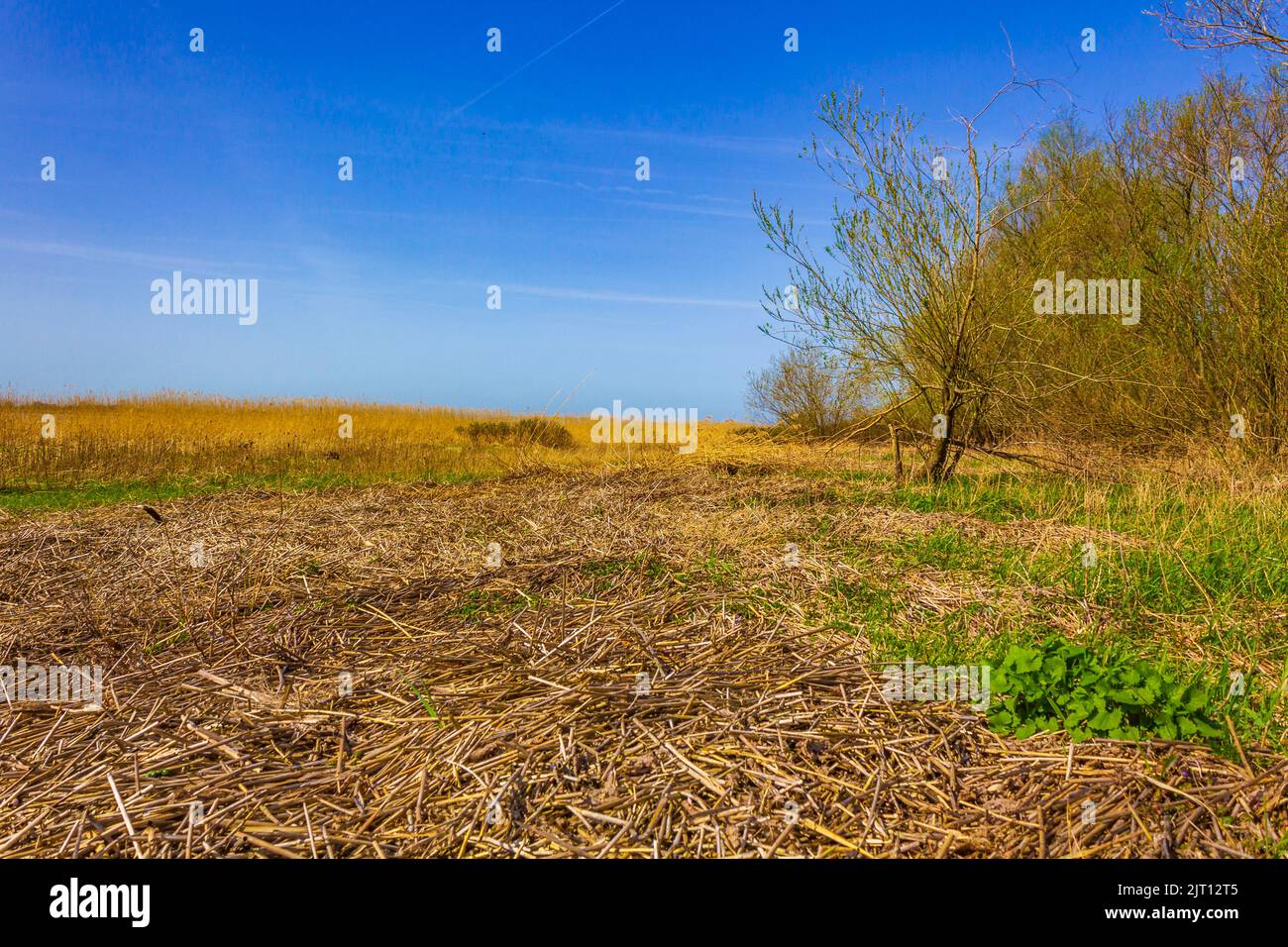 Wesertunnel hi-res stock photography and images - Alamy