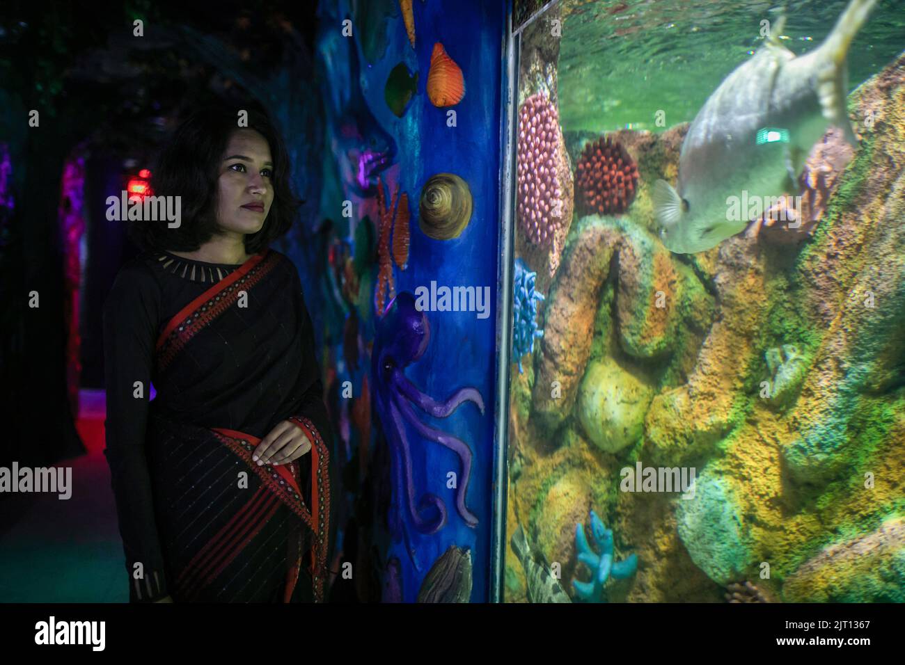 A visitor looks at the fish in an aquarium at the Radiant Fish World in ...