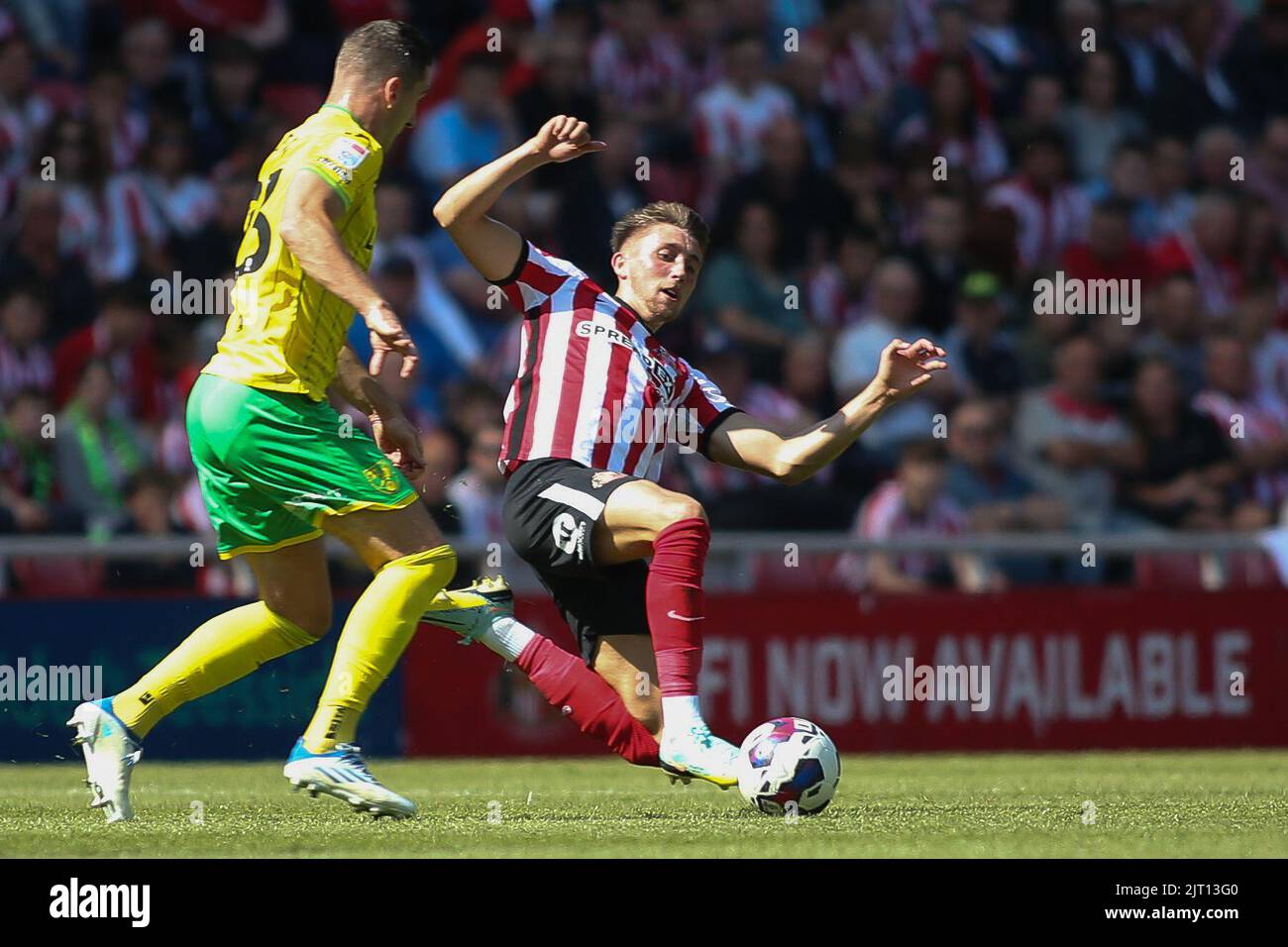 Dan kenny hi-res stock photography and images - Alamy