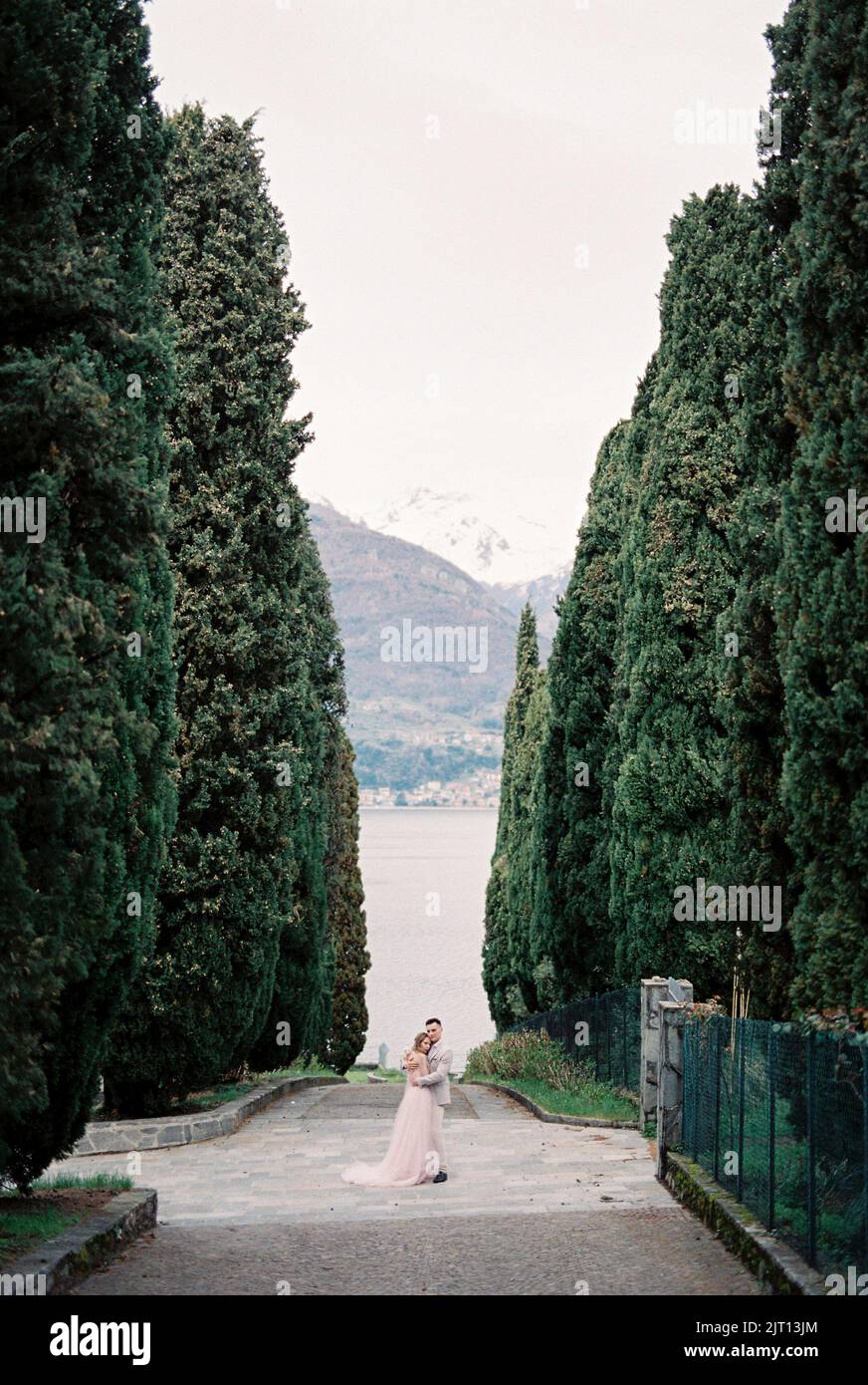 Groom embraces bride in a park among tall trees against the backdrop of ...
