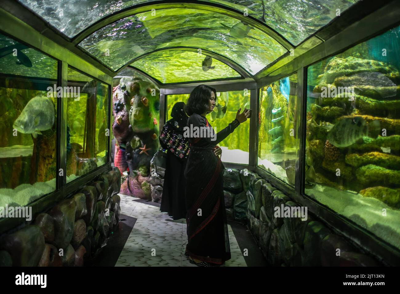 A visitor takes photos of fish in an aquarium at the Radiant Fish World ...