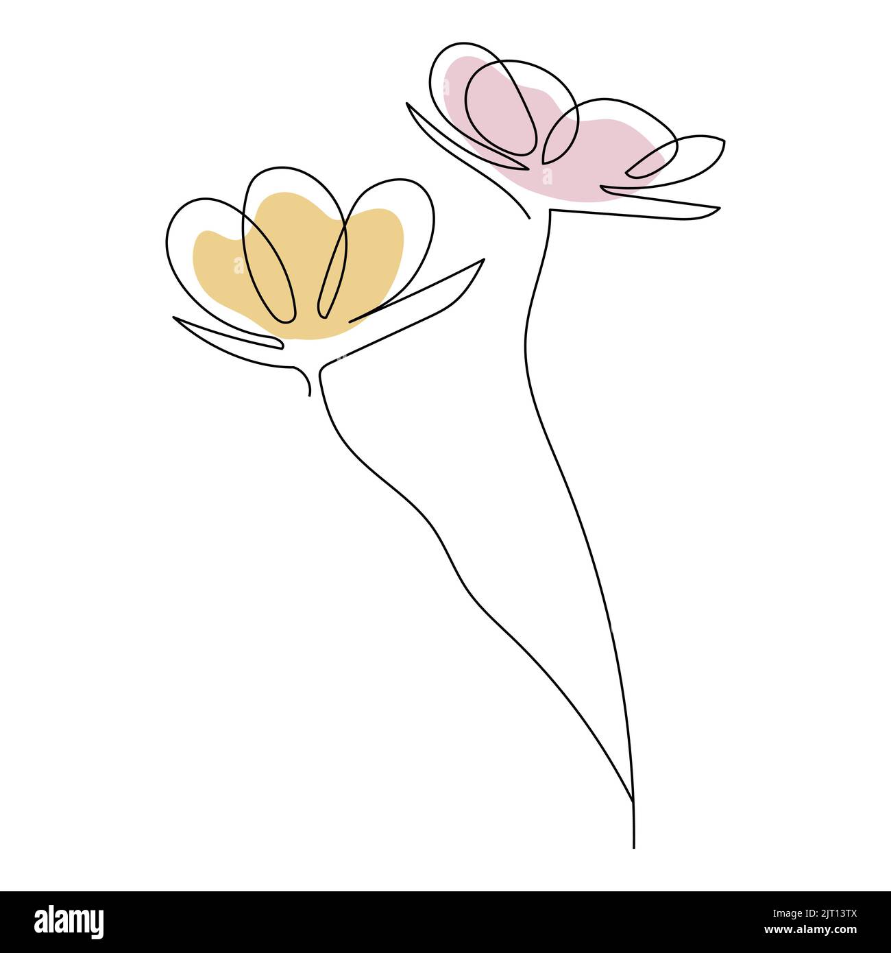 Line art contour drawing hi-res stock photography and images - Alamy