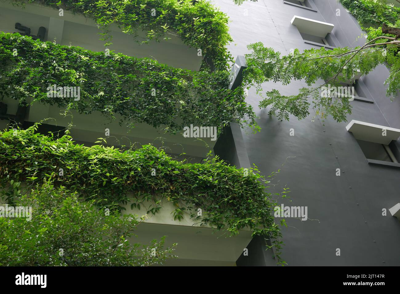 building with plants growing on the facade Stock Photo - Alamy