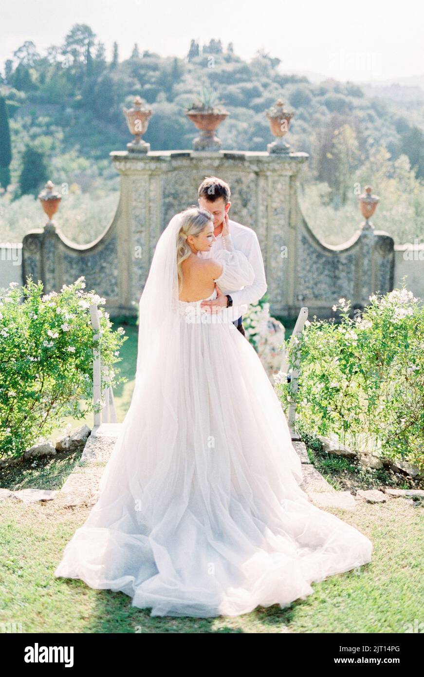 Bride and groom hug on the lawn near the stone wall. Back view Stock ...