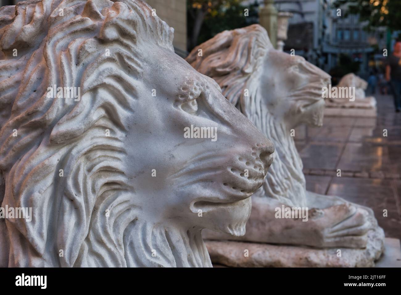 Close up of the lions at the entrance of the Holy Metropolitan Church ...