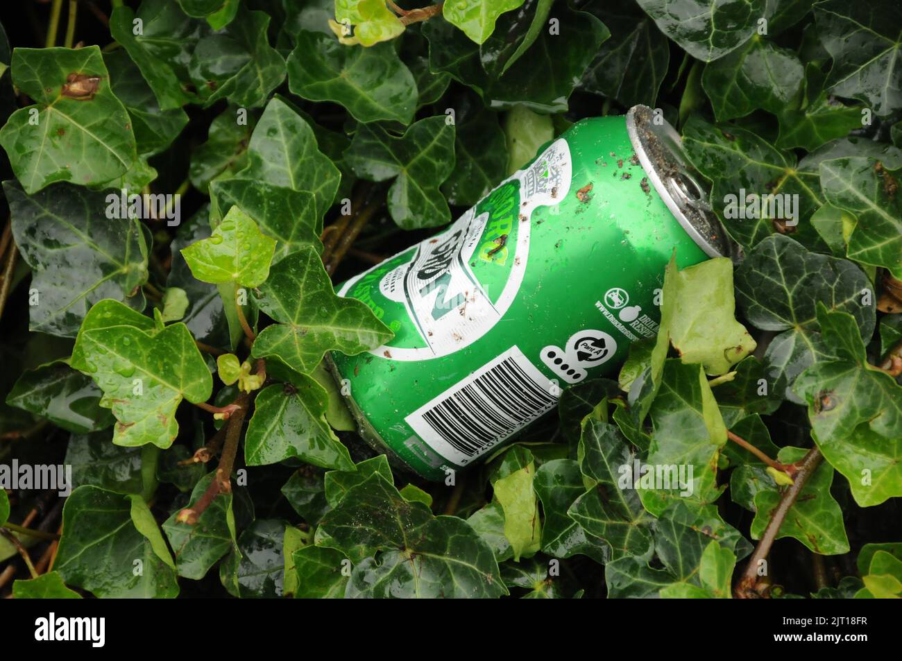 Copenhagen /Denmark/27 August 2022/ Danish tuborg beer waste in nature ...