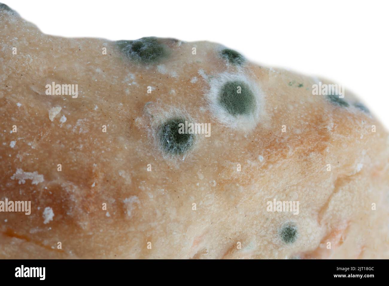 Mould spots growing on bread. Macro photography Stock Photo - Alamy