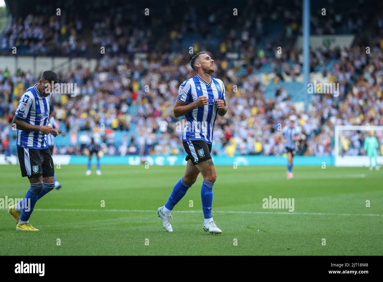 Lee Gregory #9 of Sheffield Wednesday celebrates his goal to make it 4 ...