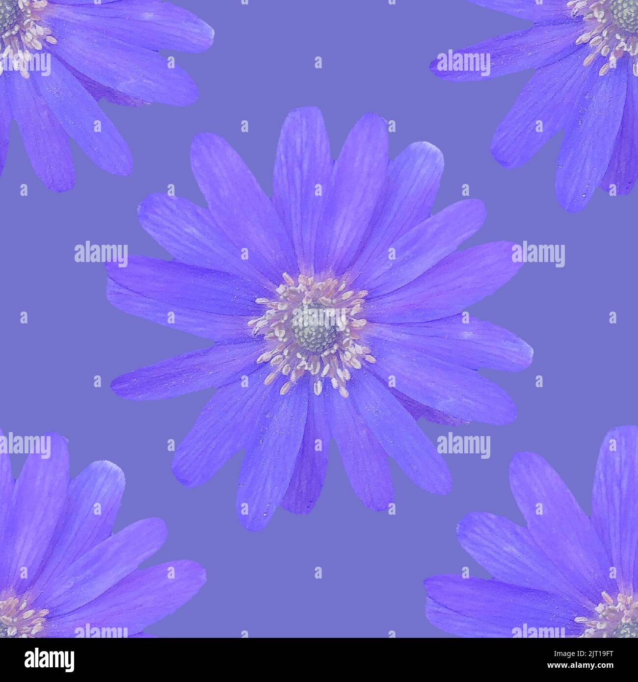 Seamless very peri flower photograph collage repeat. Feminine pretty ...