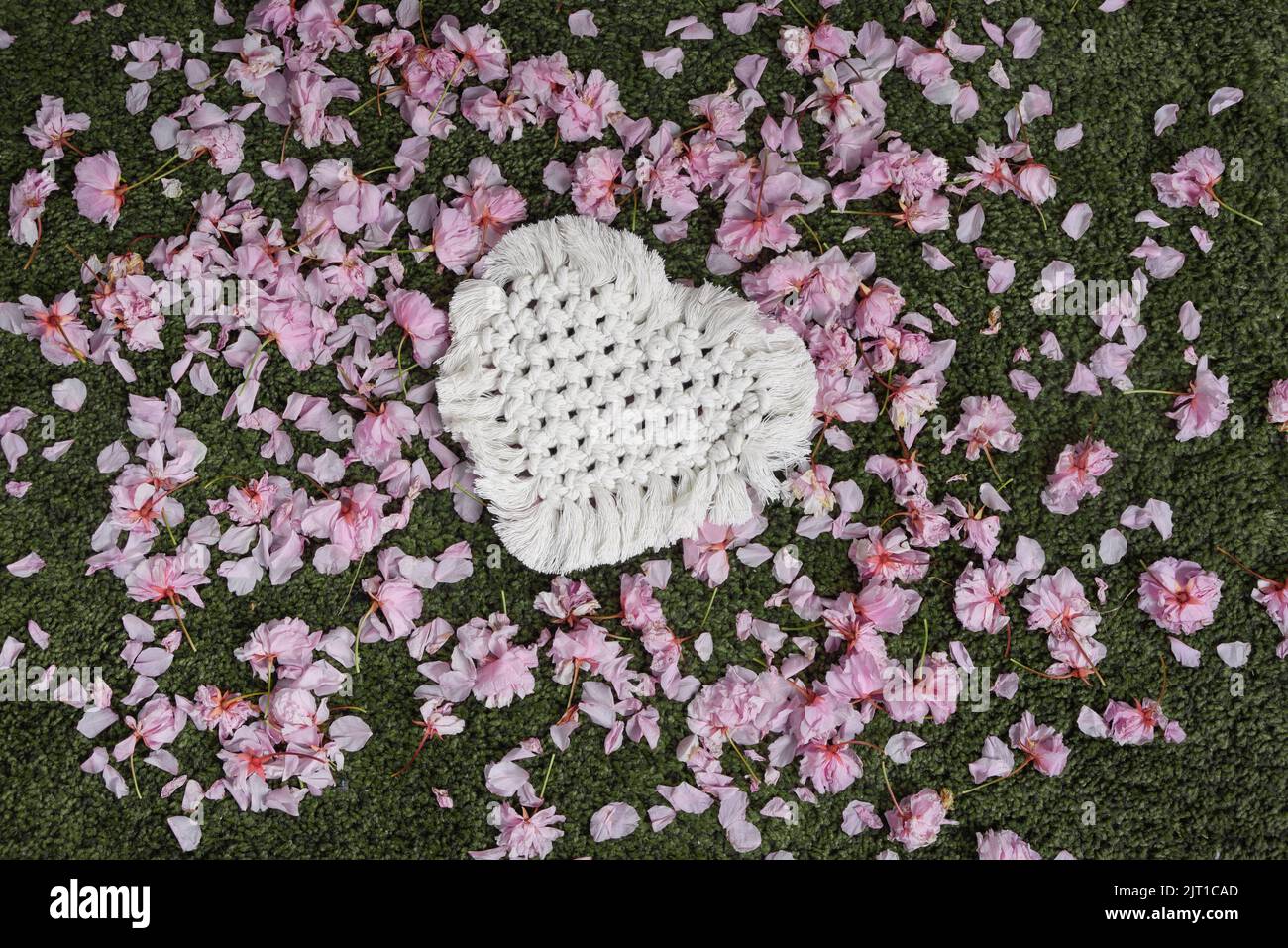 Newborn background/backdrop crochet white heart on a bed of real cherry ...