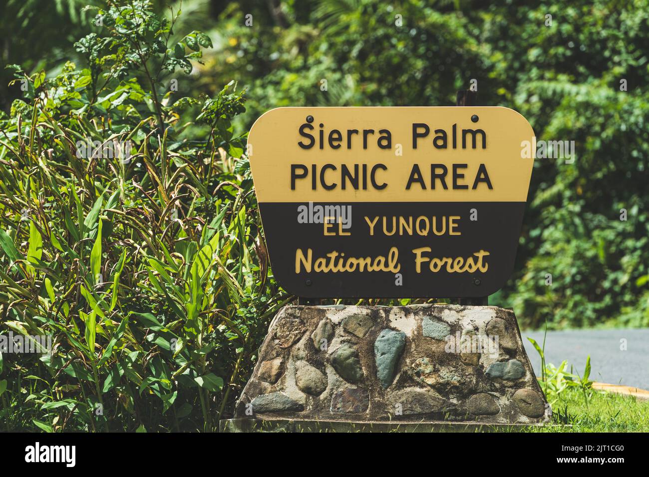 Sierra Palm Picnic area SIgn at the El Yunque National Forest Stock ...