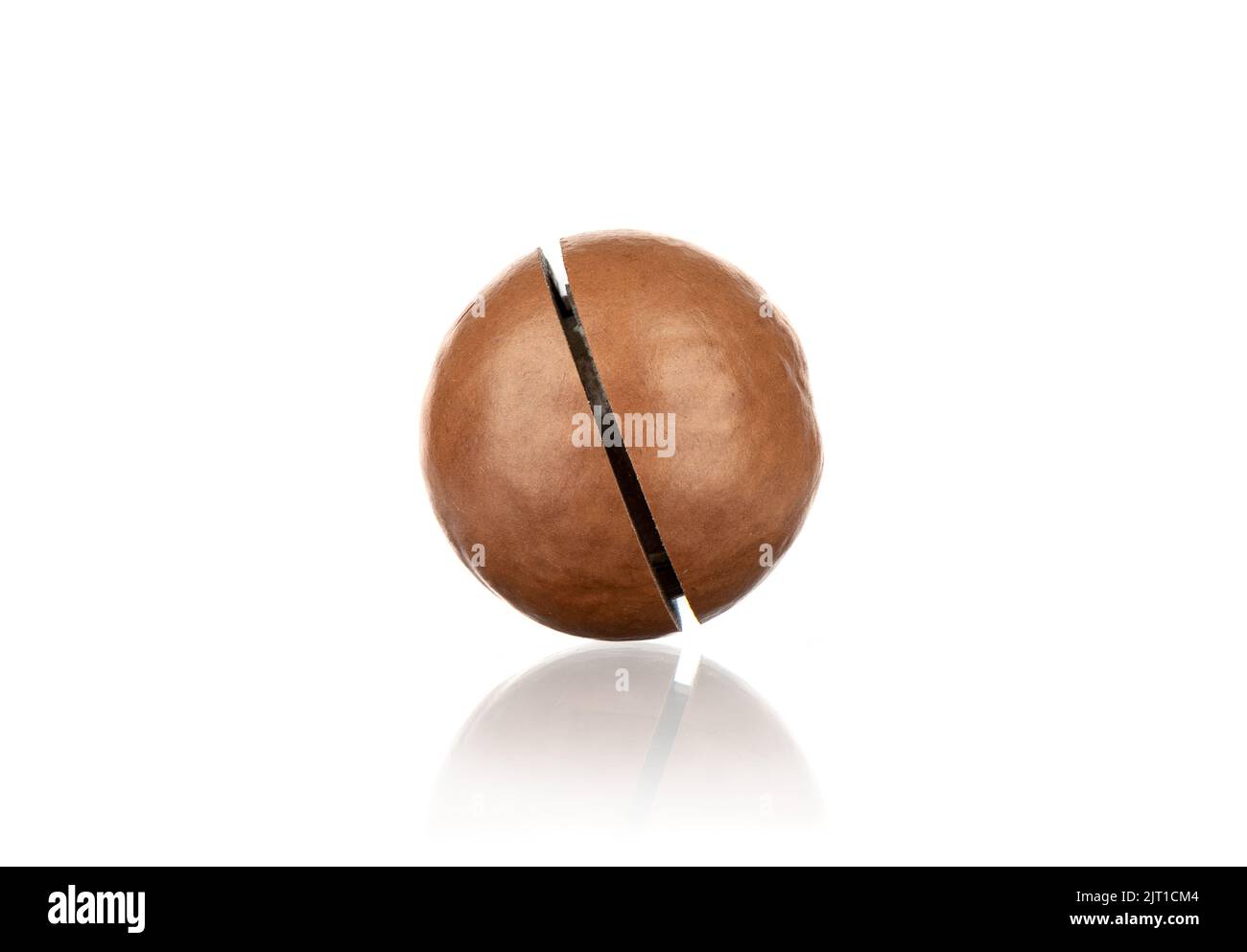 Close-up of a macadamia nut with a cut on the shell on a white ...