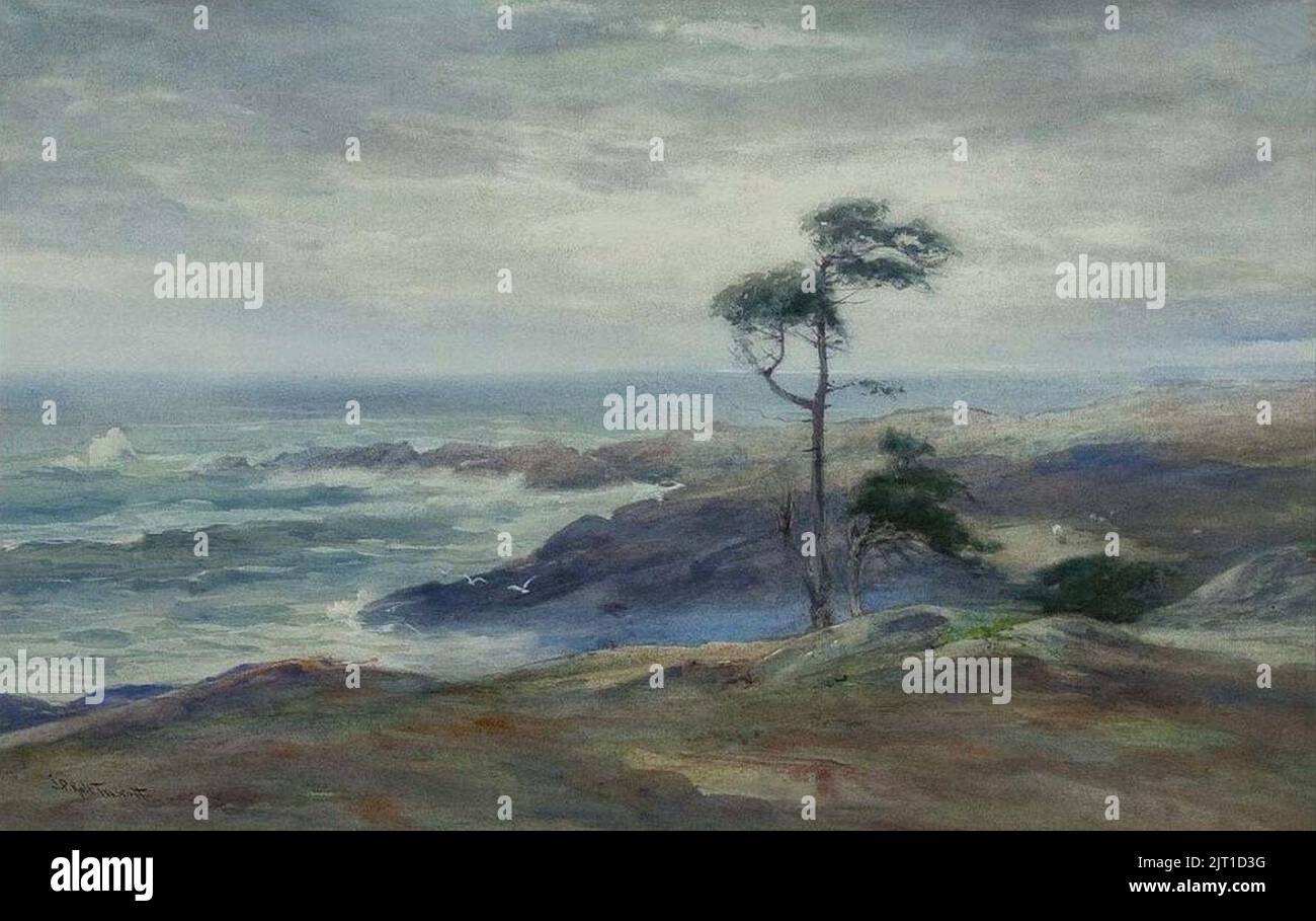 Lone Pine, Monhegan by Samuel Peter Rolt Triscott, watercolor Stock ...