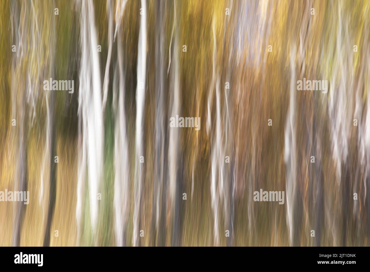 Land art park hi-res stock photography and images - Alamy