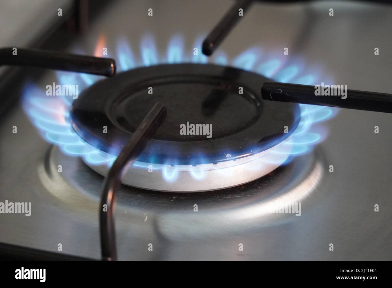 Closeup shot of blue fire from domestic kitchen stove top, gas cooker ...