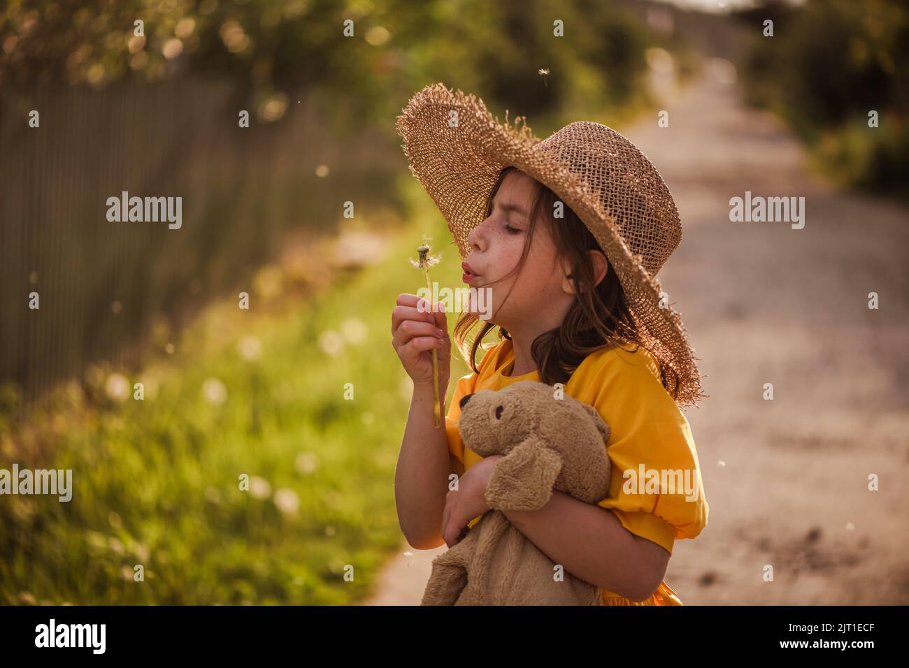 cute girl blowing on a white dandelion Stock Photo - Alamy
