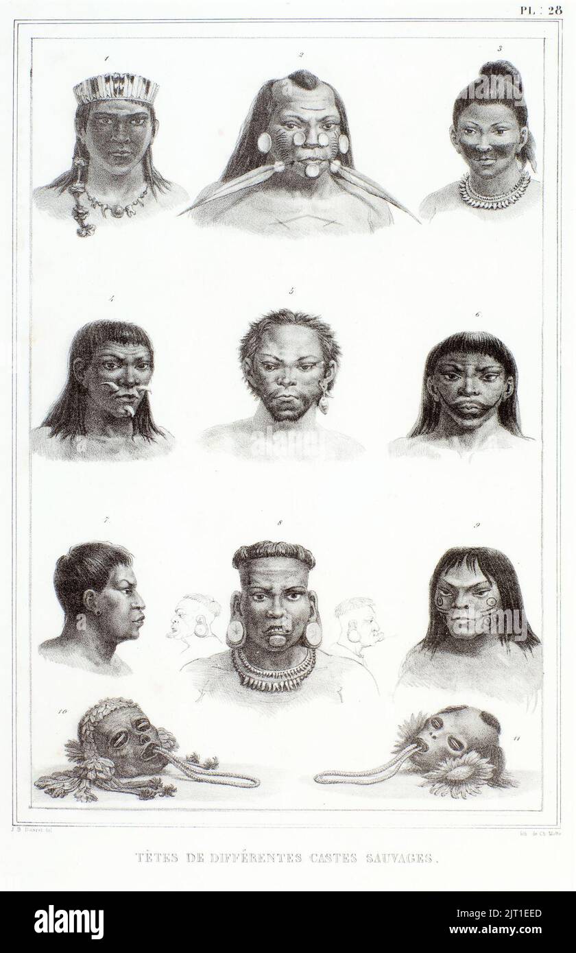 Castes sauvages Cut Out Stock Images & Pictures - Alamy