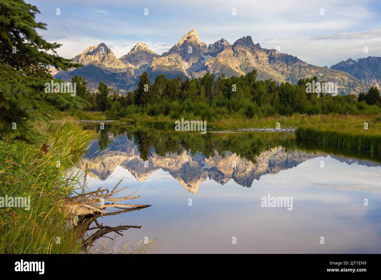 Glassy waters of a beaver pond reflect playful morning clouds painting ...
