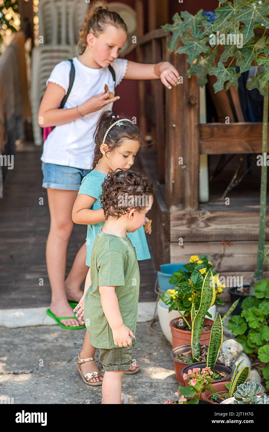 Three children in the garden looking at flowers in flower pots. Kids ...