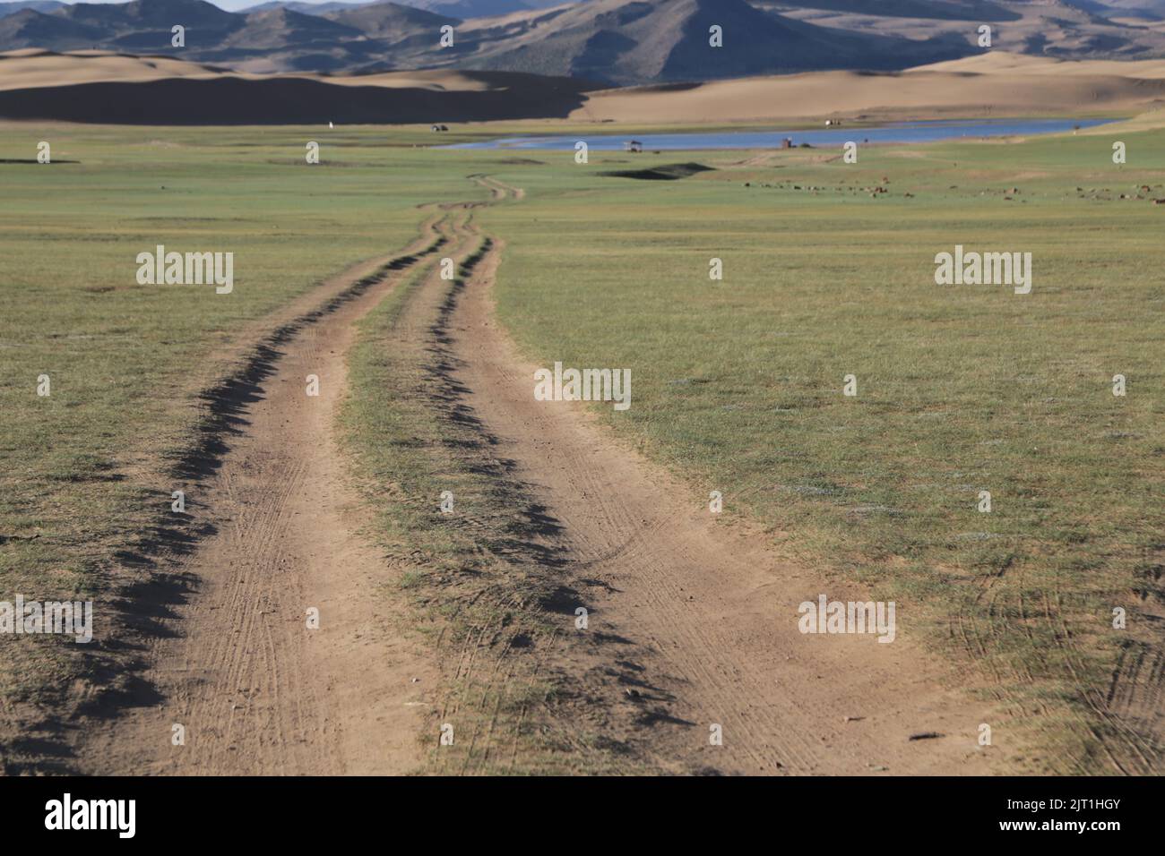 in the land of mongolia the nature and environment Stock Photo - Alamy