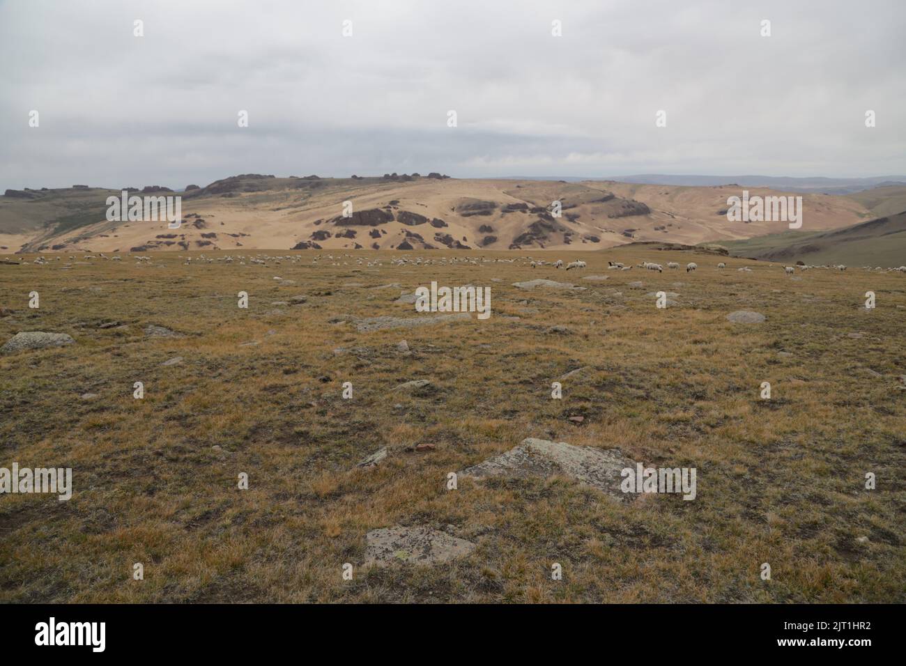 in the land of mongolia the nature and environment Stock Photo - Alamy
